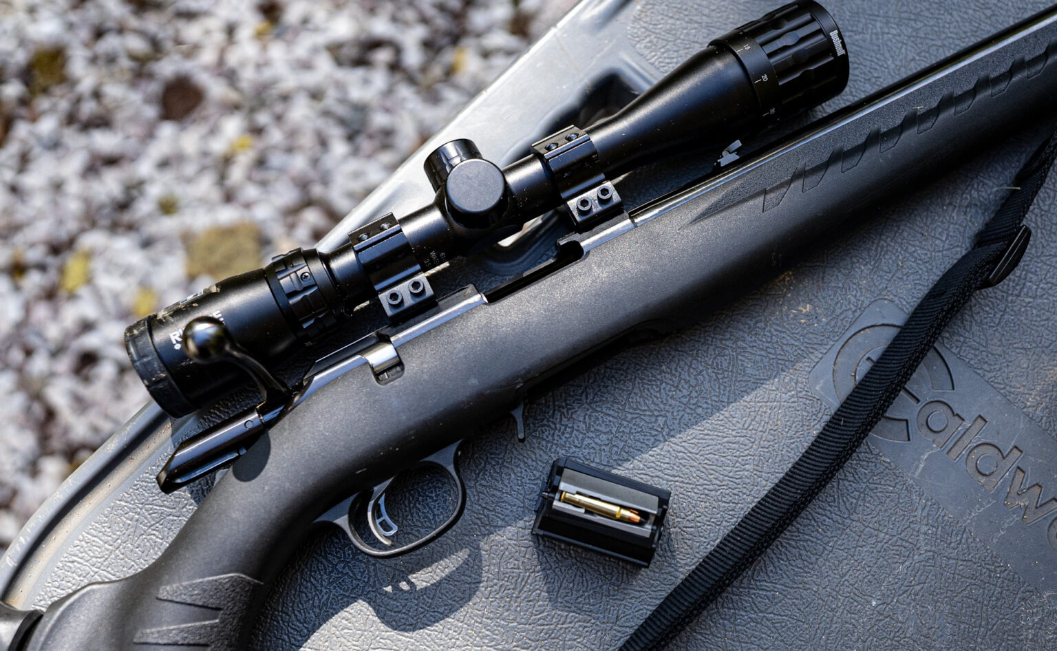 17 HMR Ballistics - Velocity, Drop & More