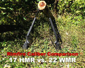 17 HMR vs 22 WMR - Rimfire Caliber Comparison