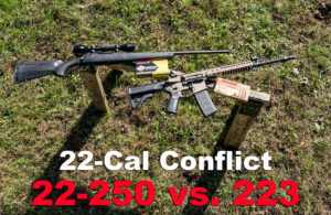 22-250 vs 223 - What's the Better 22 Cal Cartridge for You?