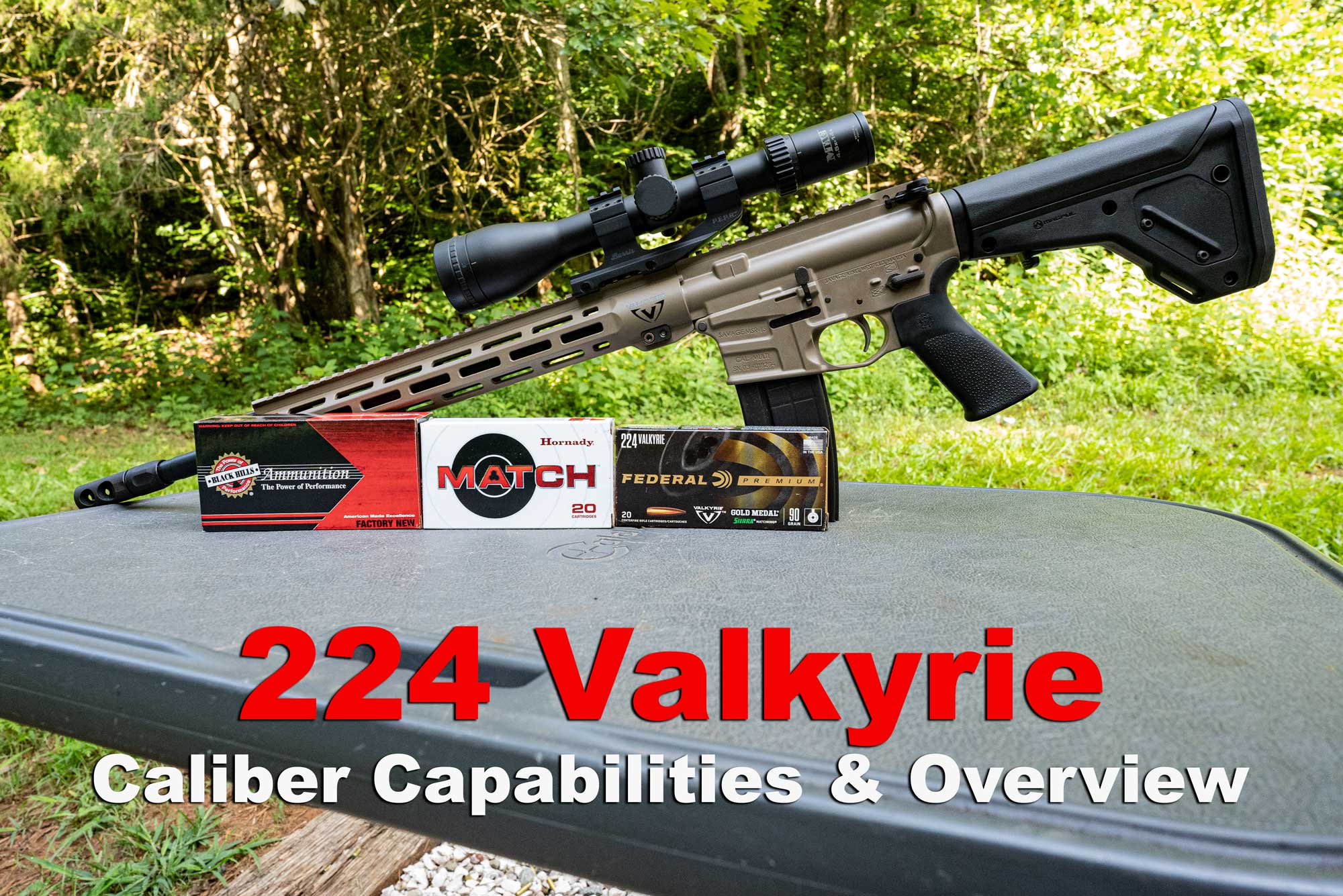 224 Valkyrie - Caliber Overview and Guide