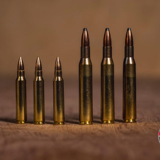 223 vs. 308 - A Rifle Caliber Comparison - The Lodge at AmmoToGo.com