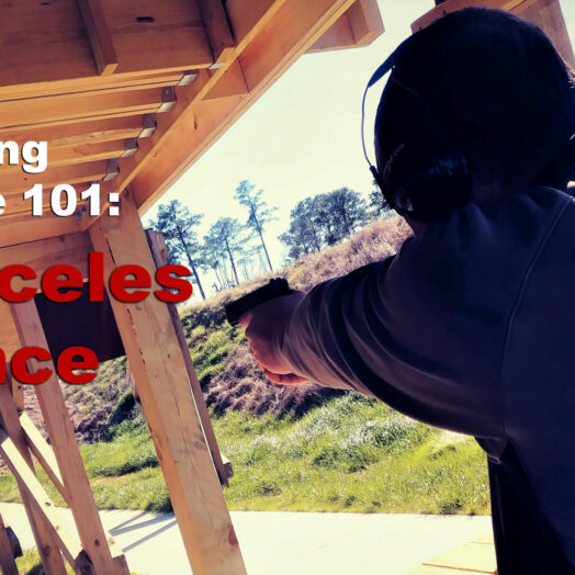 The Weaver Stance - What It Is and How it Works