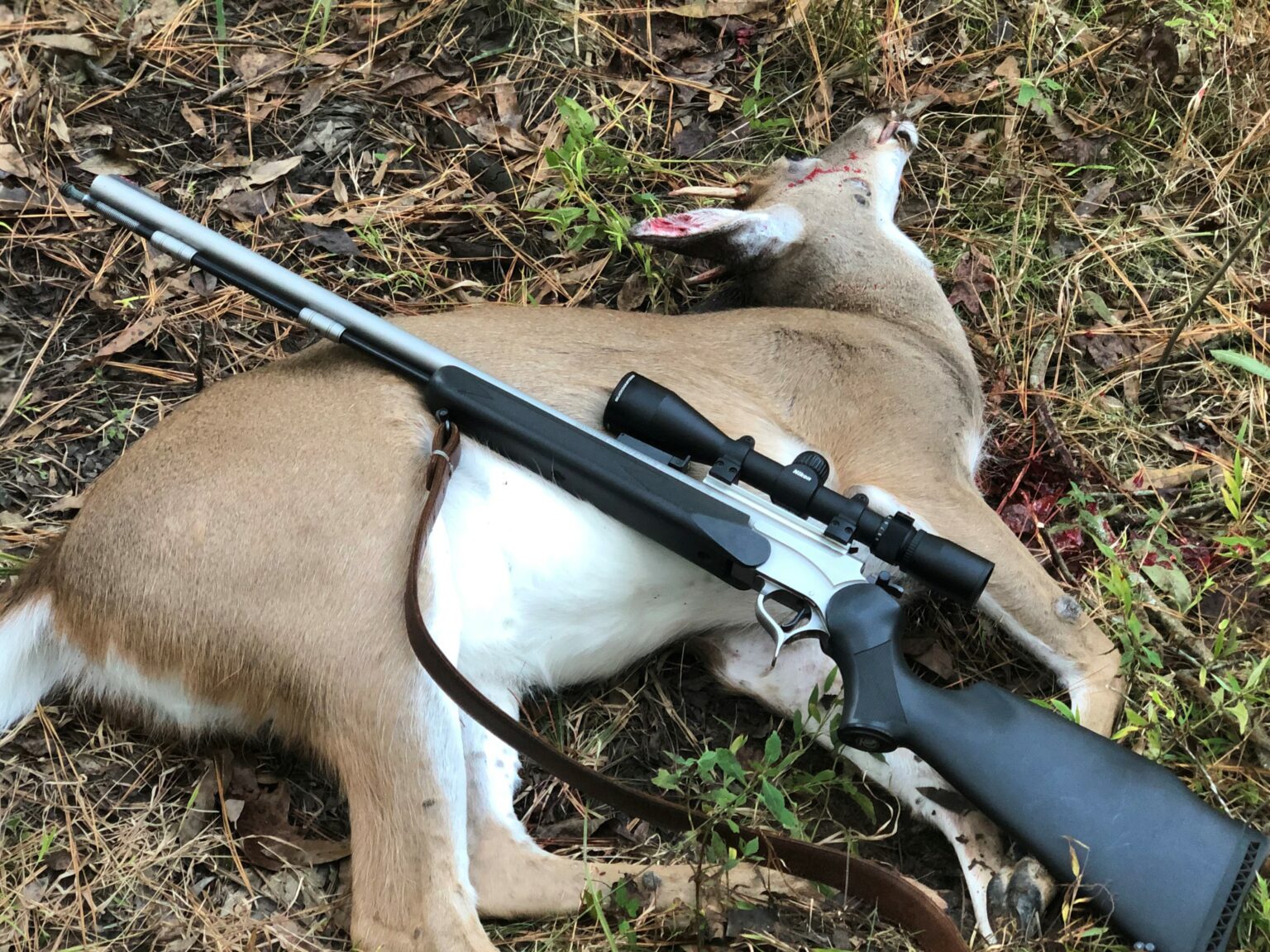 What is a Muzzleloader - Exploring Blackpowder Rifles