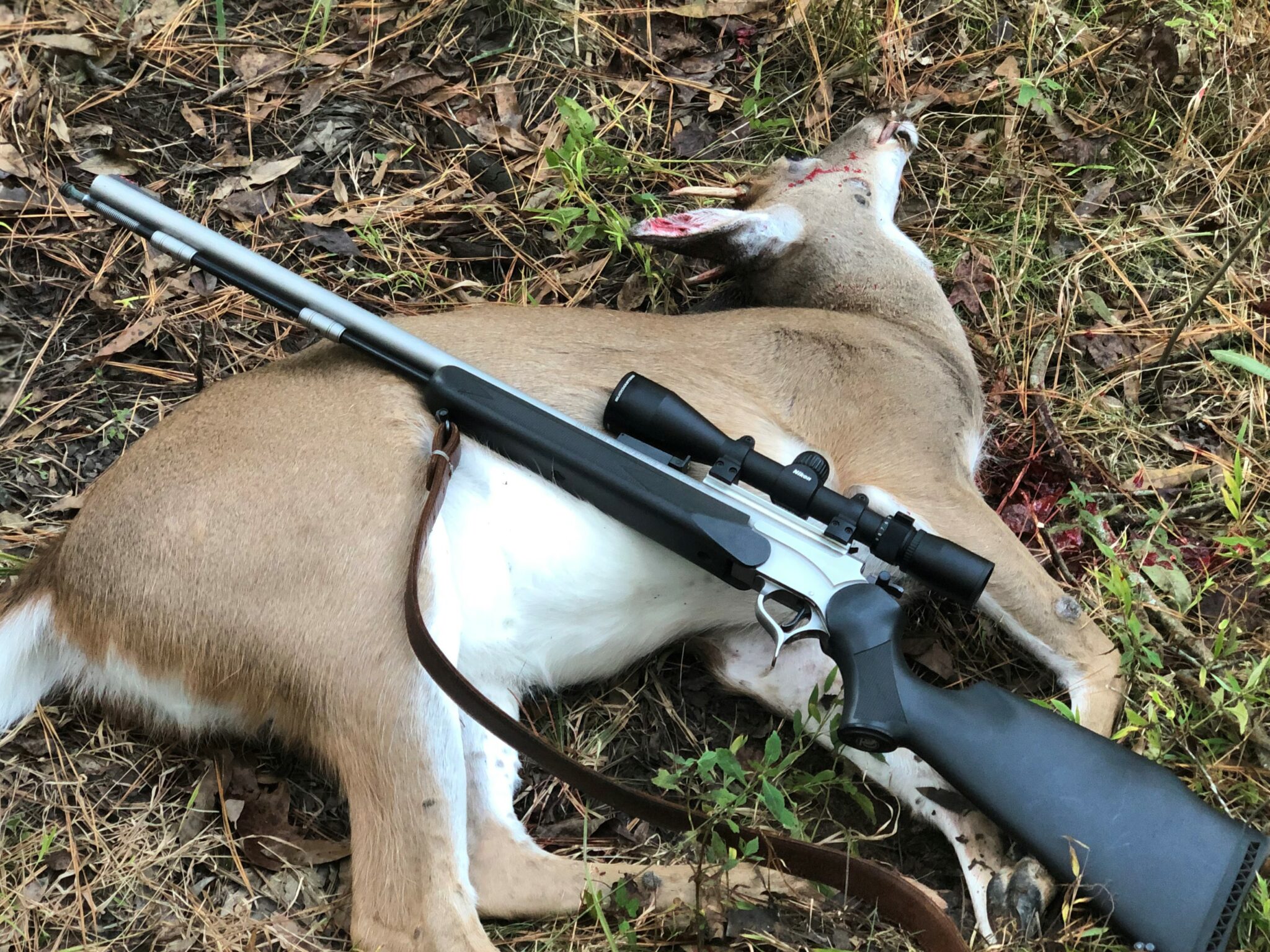 What is a Muzzleloader - Exploring Blackpowder Rifles